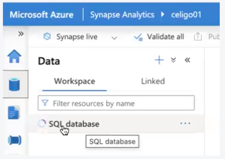 Set up a connection to Microsoft Azure Synapse Analytics – Celigo Help Center