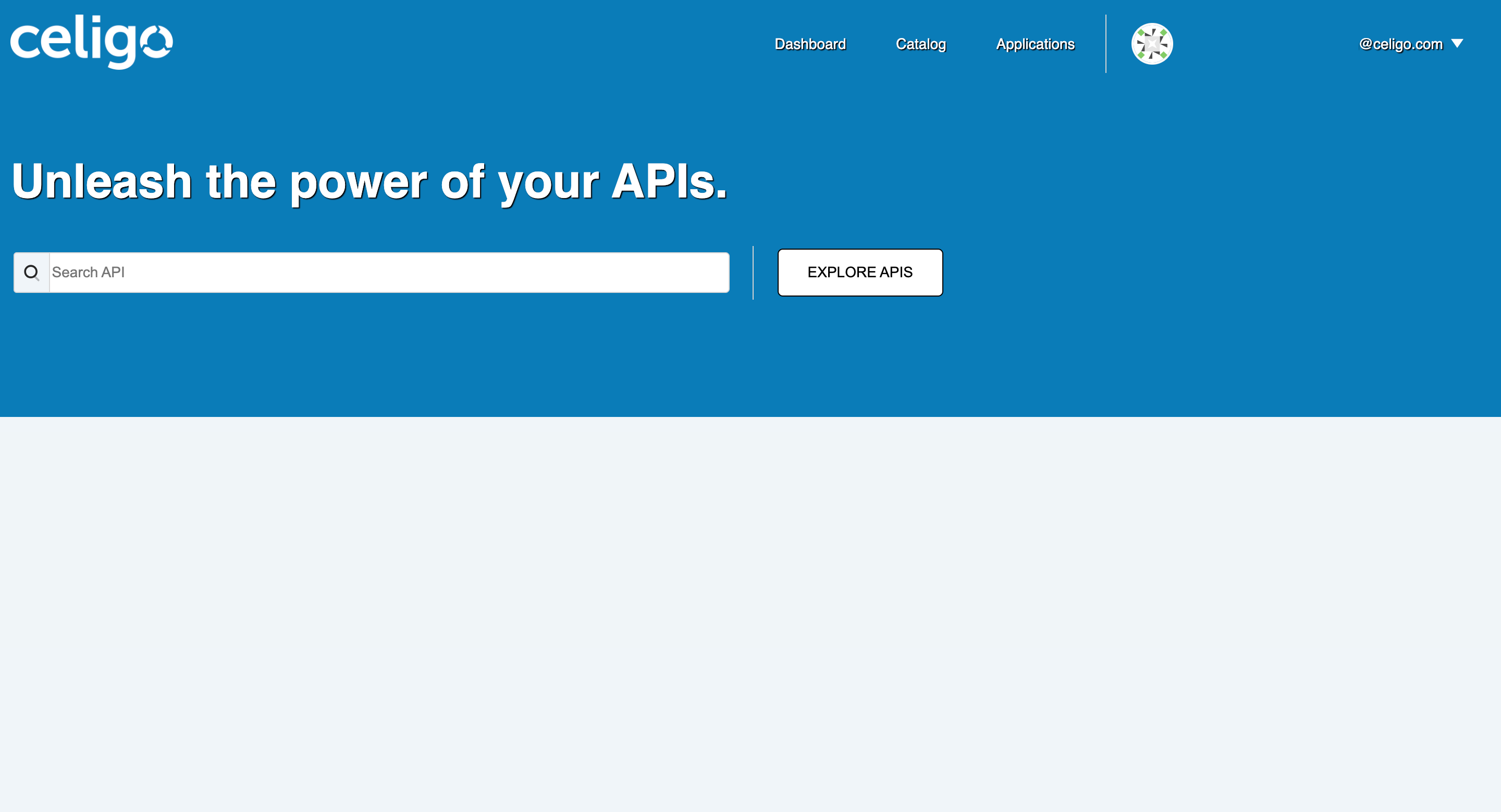 Navigate the APIM Developer portal – Celigo Help Center
